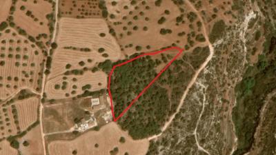 Shared field in Neo Chorio, Paphos, 4741: GoGordian