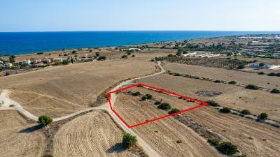 Tourist field in Maroni, Larnaca, 6705: GoGordian