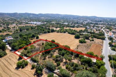 Residential field in Tremithousa, Paphos, 8435: GoGordian