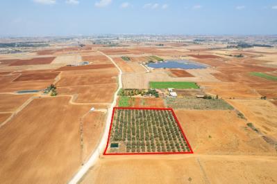 Agricultural field in Avgorou, Famagusta, 8519: GoGordian