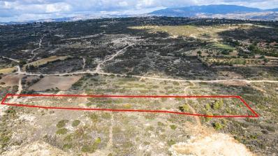 Shared field in Pano Kivides, Limassol, 9236: GoGordian
