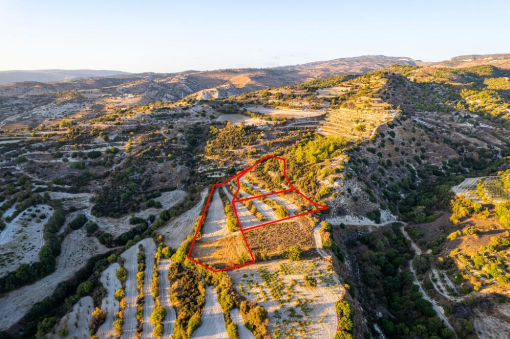 Three agricultural fields in Amargeti, Paphos, 7743: GoGordian